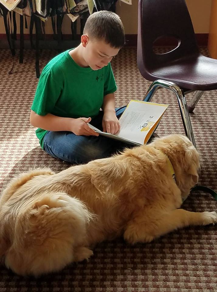 Reading to the Therapy Dog – Rostraver Public Library & Smithton Public ...